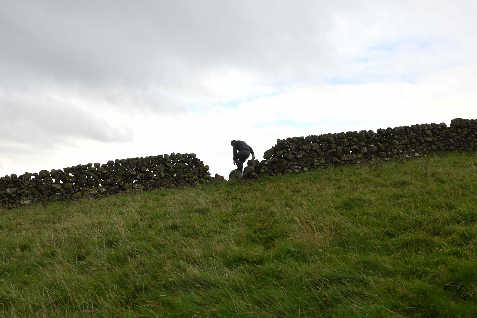 The Wall | Walking Wall